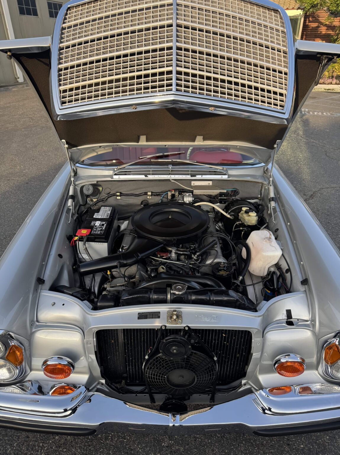 Engine and Undercarriage Steam Cleaning & Restoration - Doctor Detail